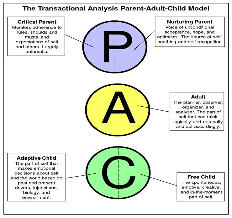 TRANSACTIONAL ANALYSIS | InterVitalize
